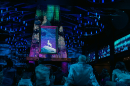 Themed Entertainment Association